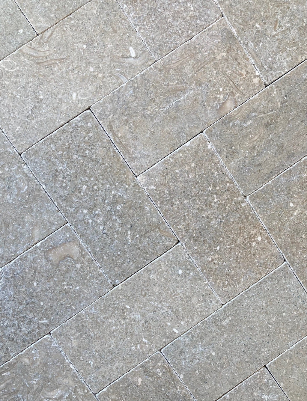 Olivestone Tumbled Limestone Bricks (Sample) – Terzetto Stone & Porcelain