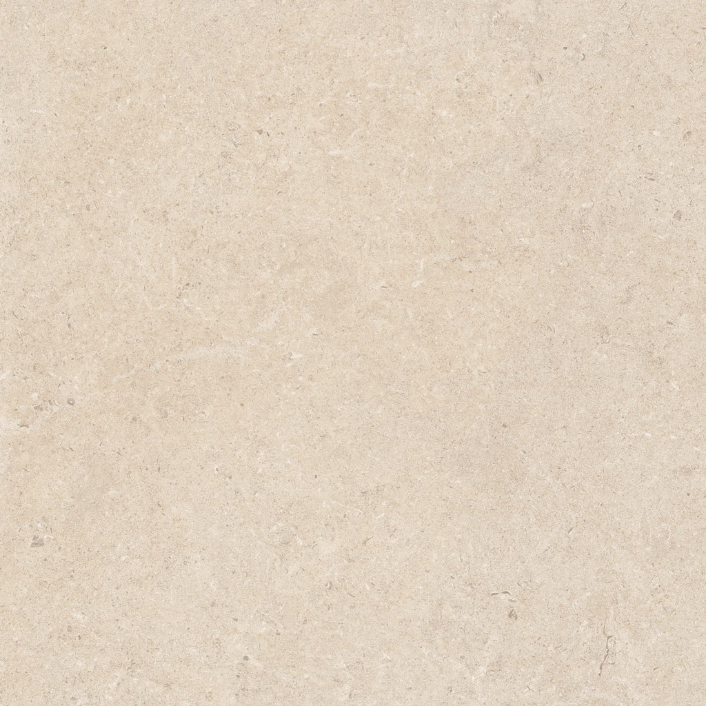 Ground Bone Matt Porcelain (Sample) – Terzetto Stone & Porcelain